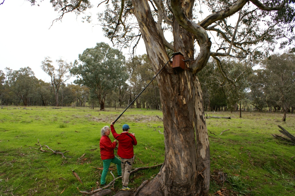 Local Landcare | Mid Lachlan Landcare