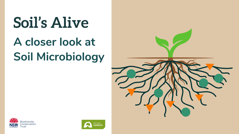 Soil’s Alive – Exploring the unique soil microbiome of the Mid Lachlan ...