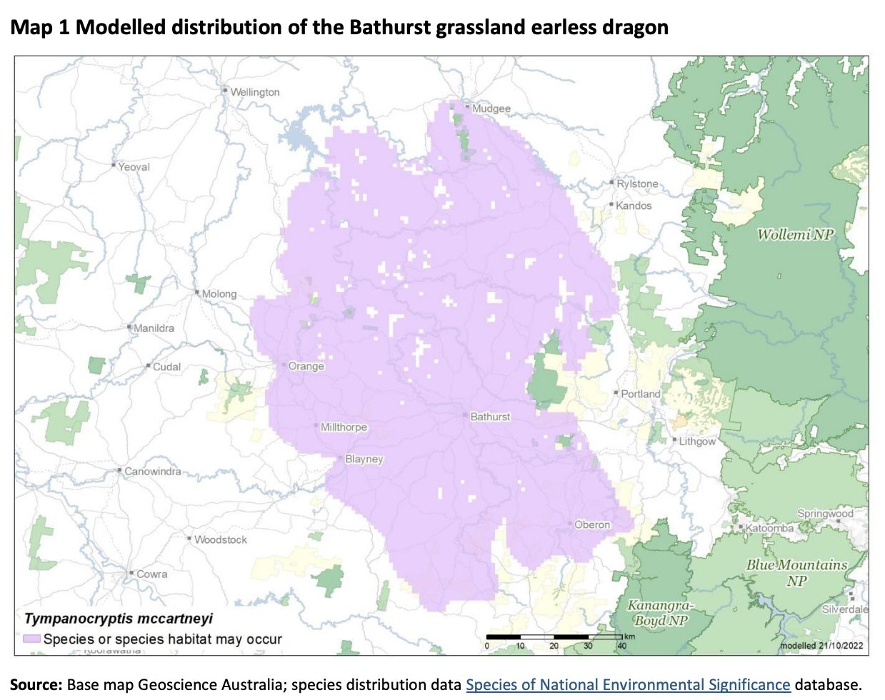 On the Search for Bathursts Earless Dragons | Mid Lachlan Landcare