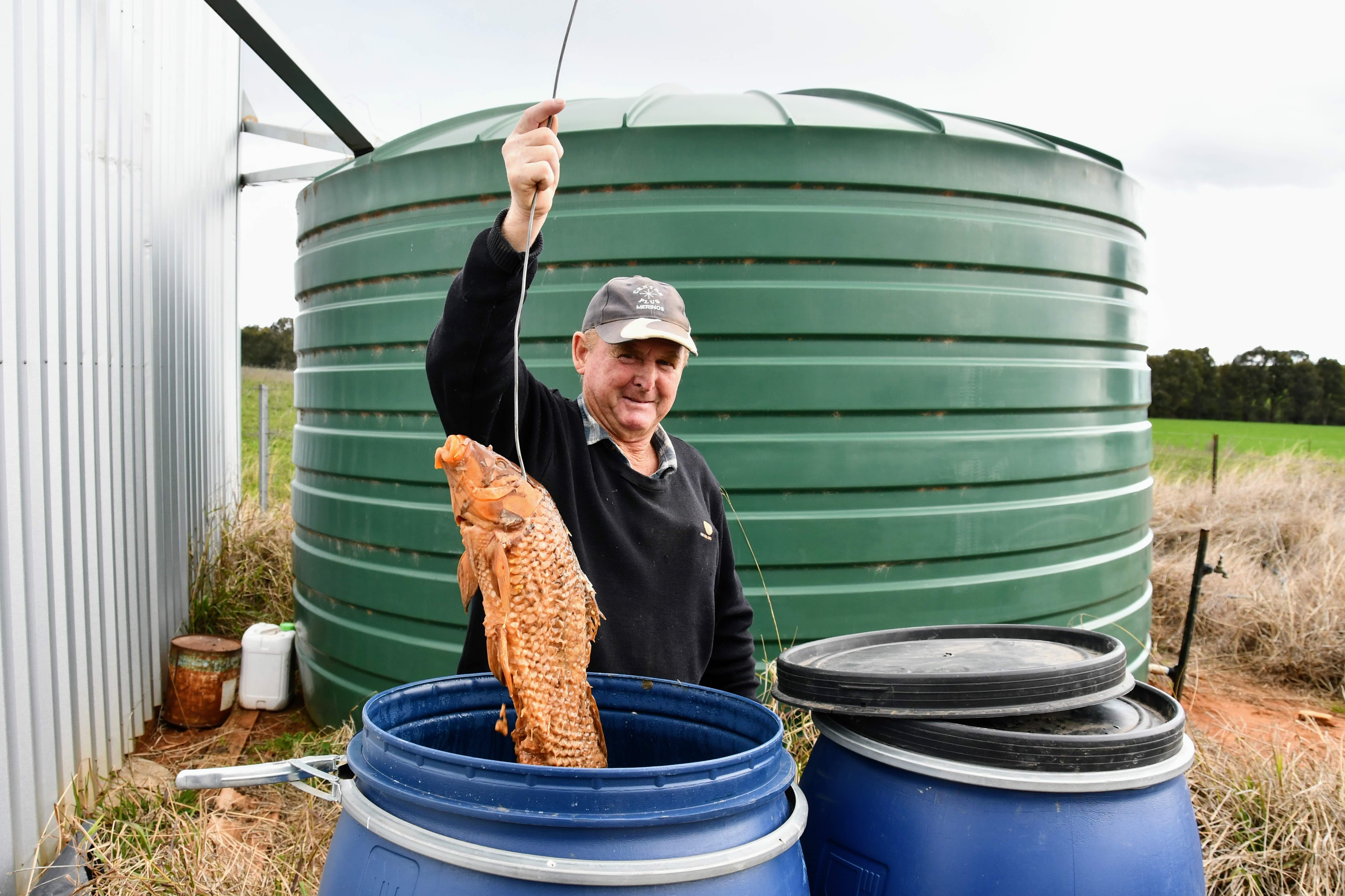 Carp Compost Tea Results Are In | Mid Lachlan Landcare